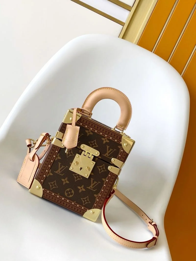 Louis Vuitton Watch Box