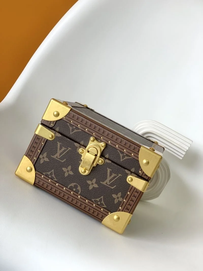 Louis Vuitton Watch Box