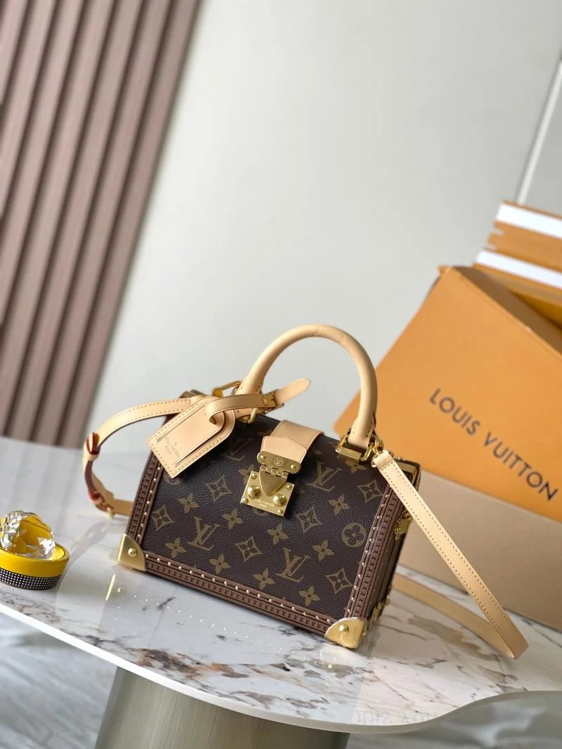 Louis Vuitton Watch Box