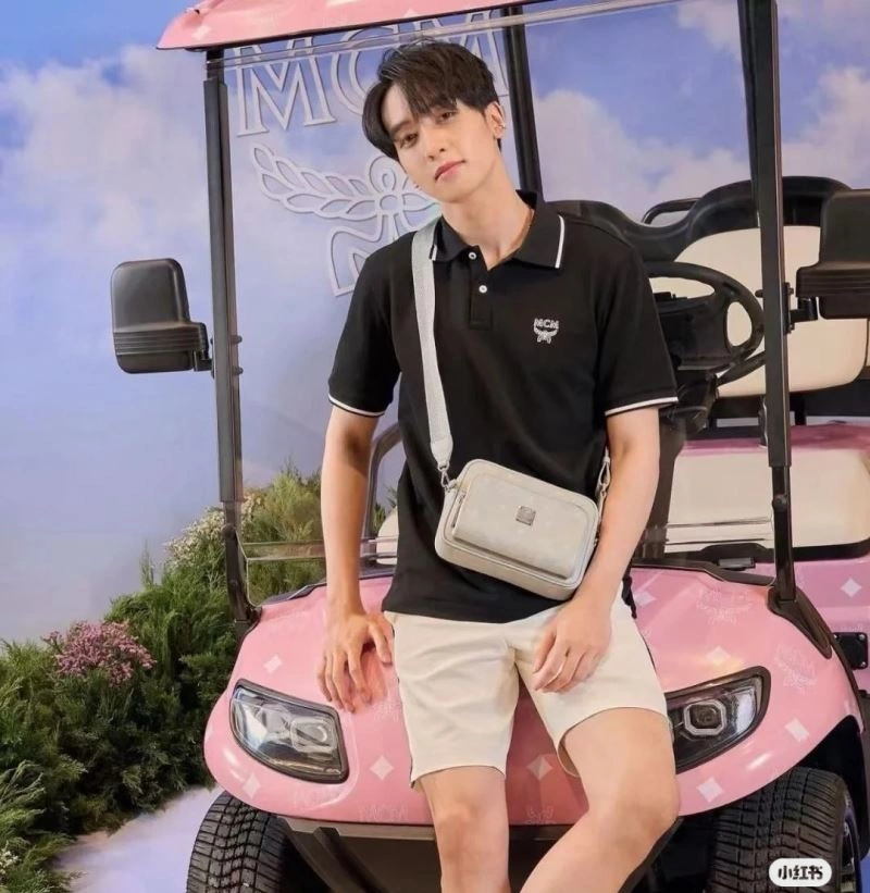 Inexpensive MCM Satchel Bags