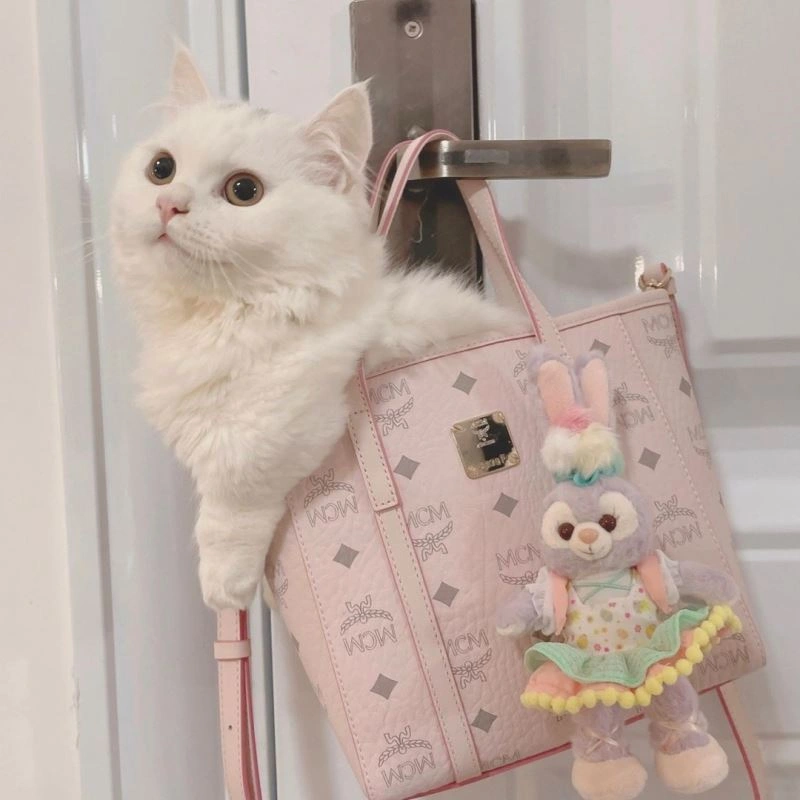 Value-priced MCM Shopping Bags