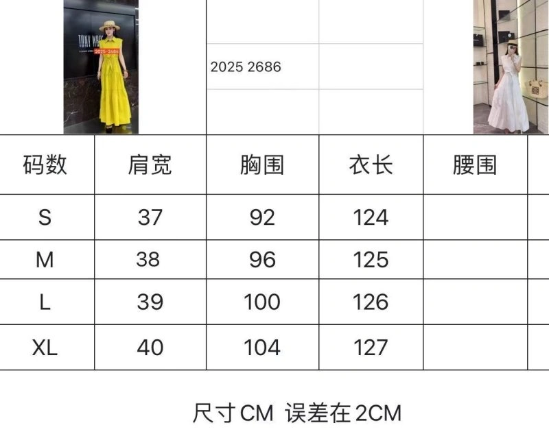 Accurate model Max Mara Dress