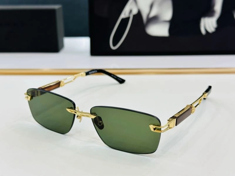 OEM Maybach Sunglasses