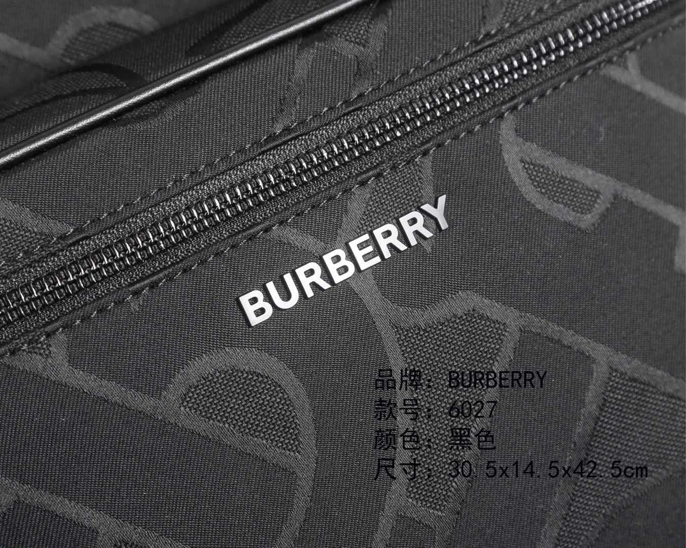Indistinguishable Mens Burberry Backpacks
