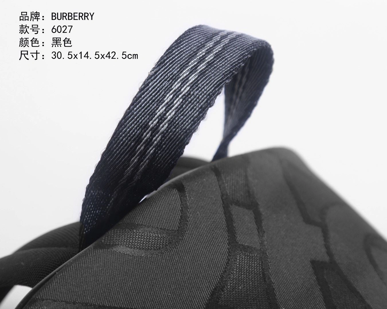 Indistinguishable Mens Burberry Backpacks