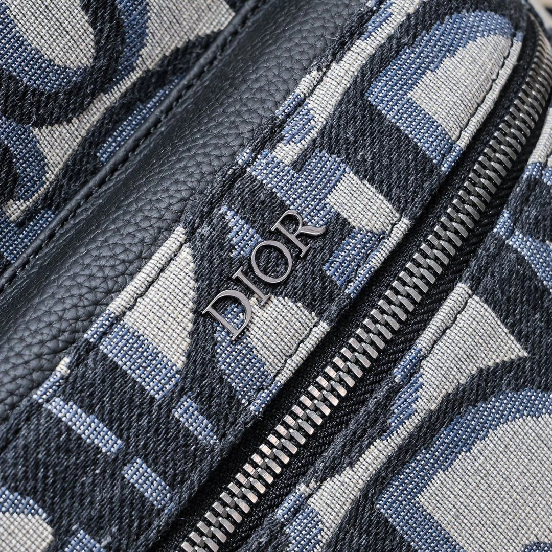 High accuracy Mens Christian Dior Backpacks