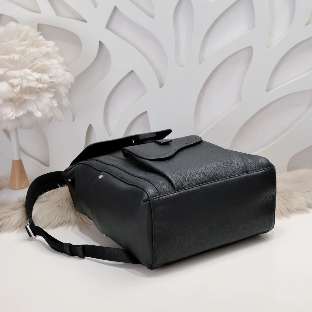 OEM Mens Christian Dior Backpacks
