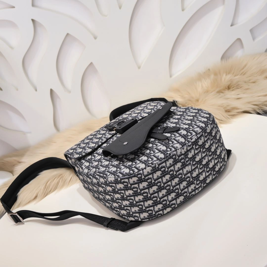 Value-priced Mens Christian Dior Backpacks