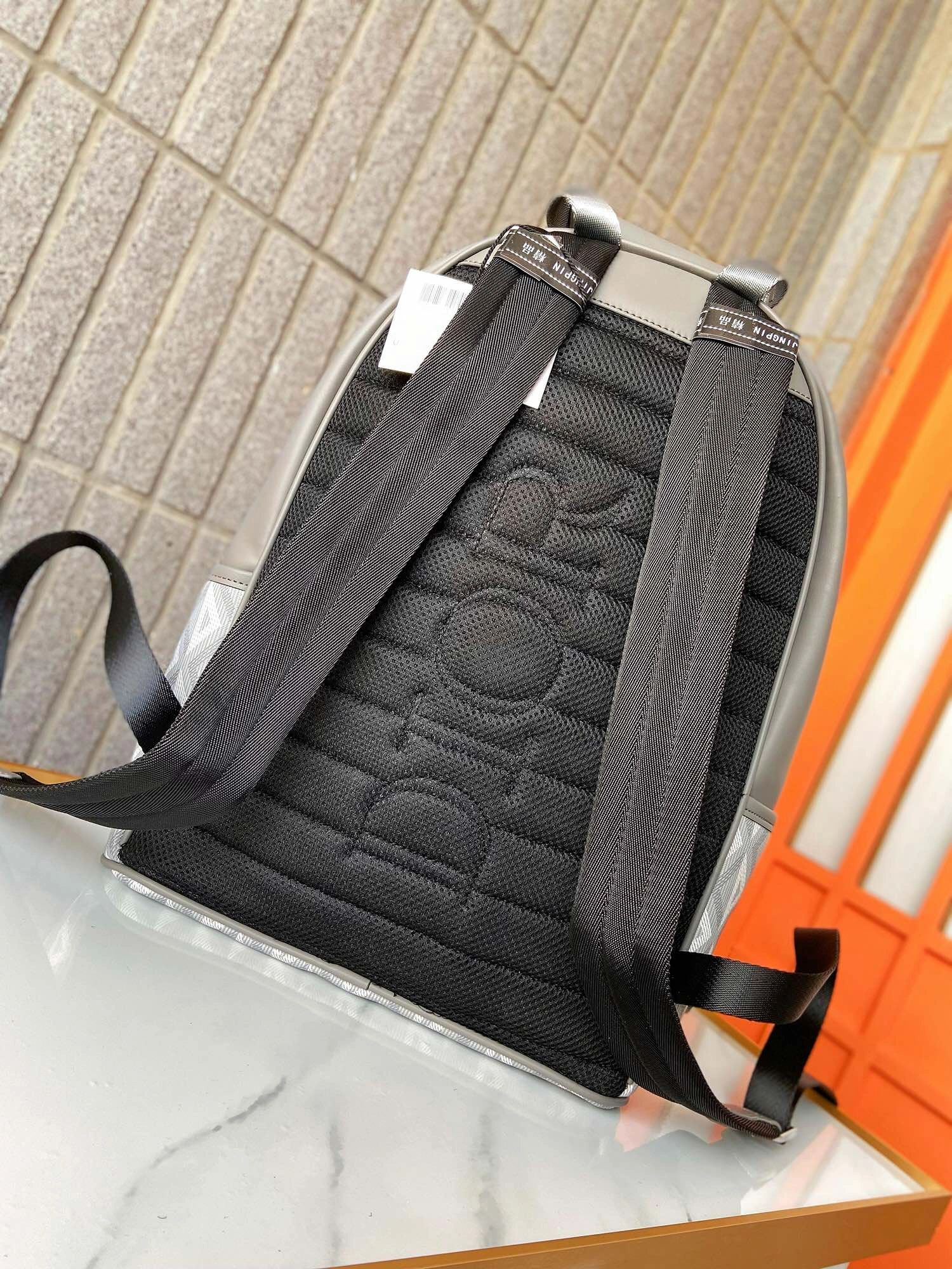 Brand-original Mens Christian Dior Backpacks