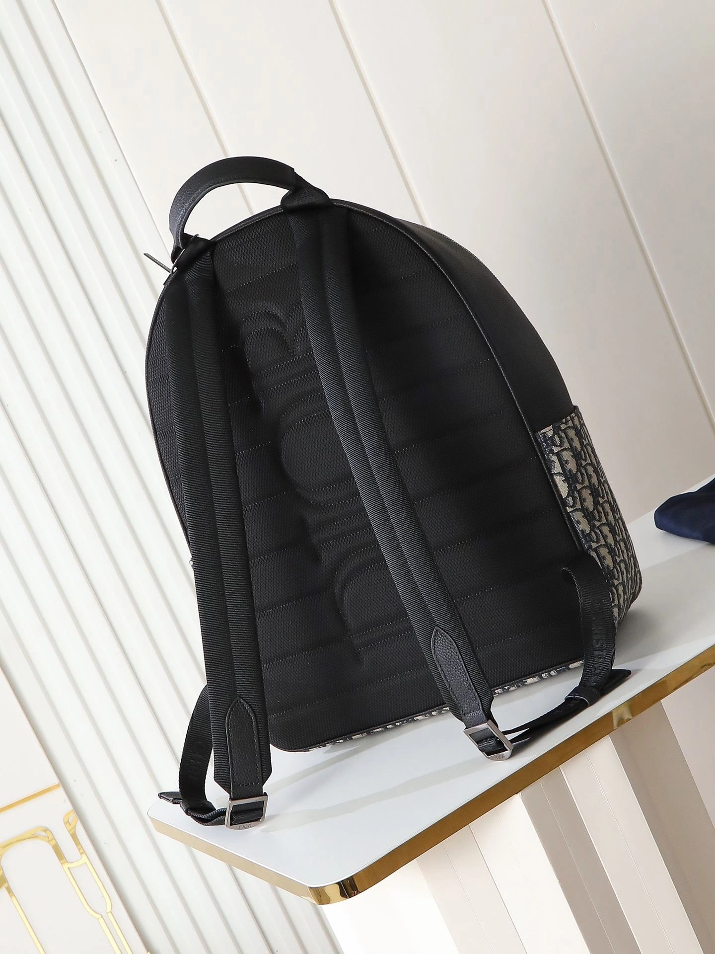 Genuine Mens Christian Dior Backpacks