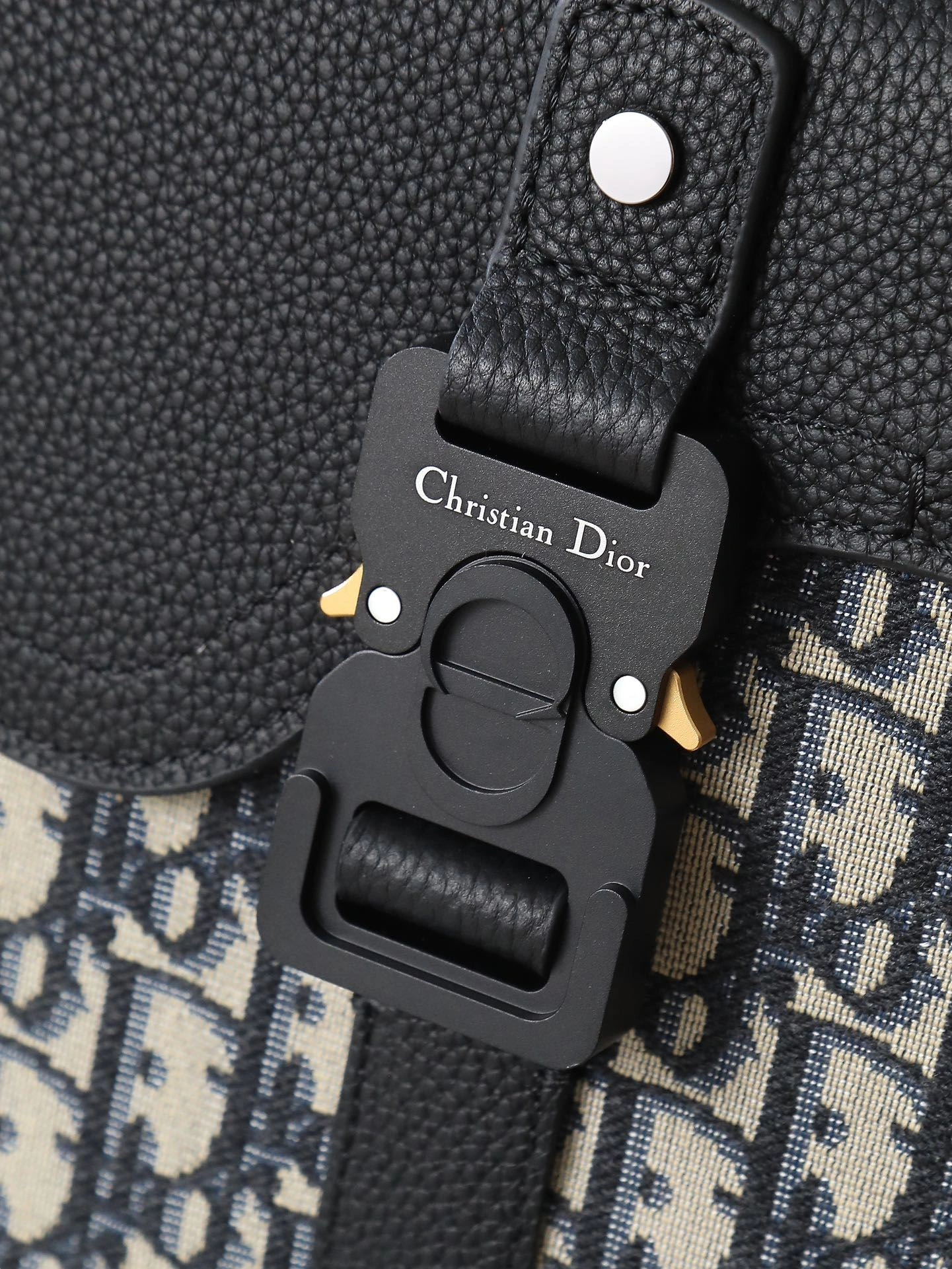 Genuine Mens Christian Dior Backpacks
