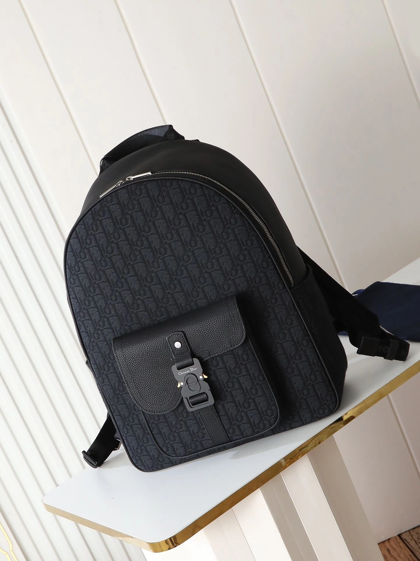 1:1 copy Mens Christian Dior Backpacks