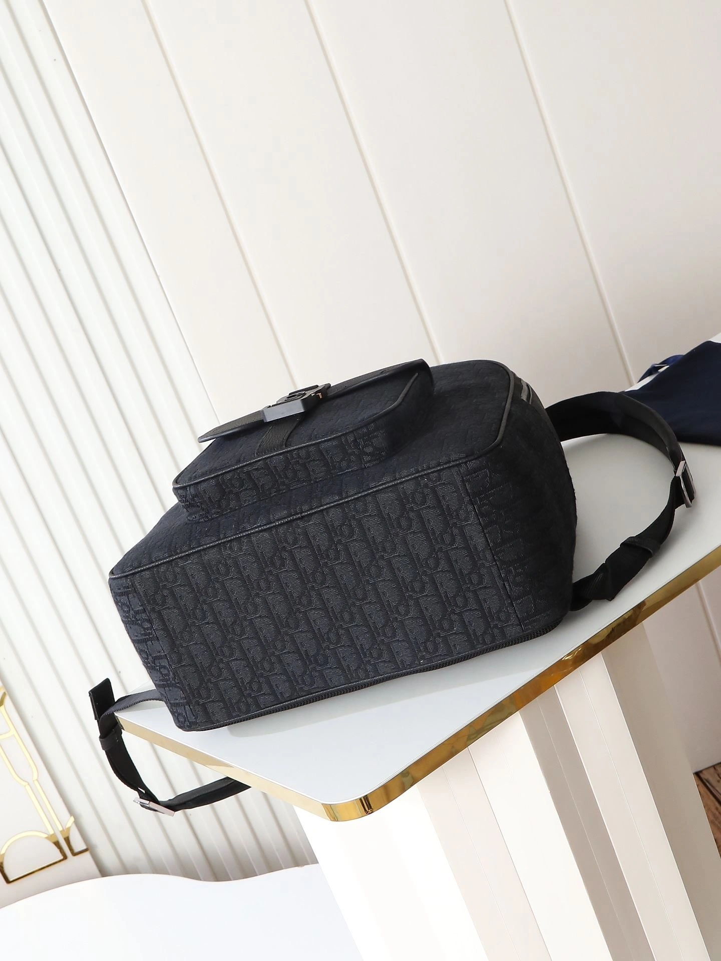 1:1 copy Mens Christian Dior Backpacks