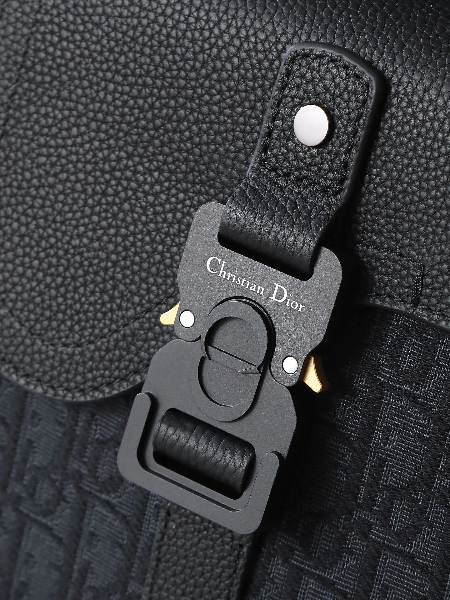 1:1 copy Mens Christian Dior Backpacks