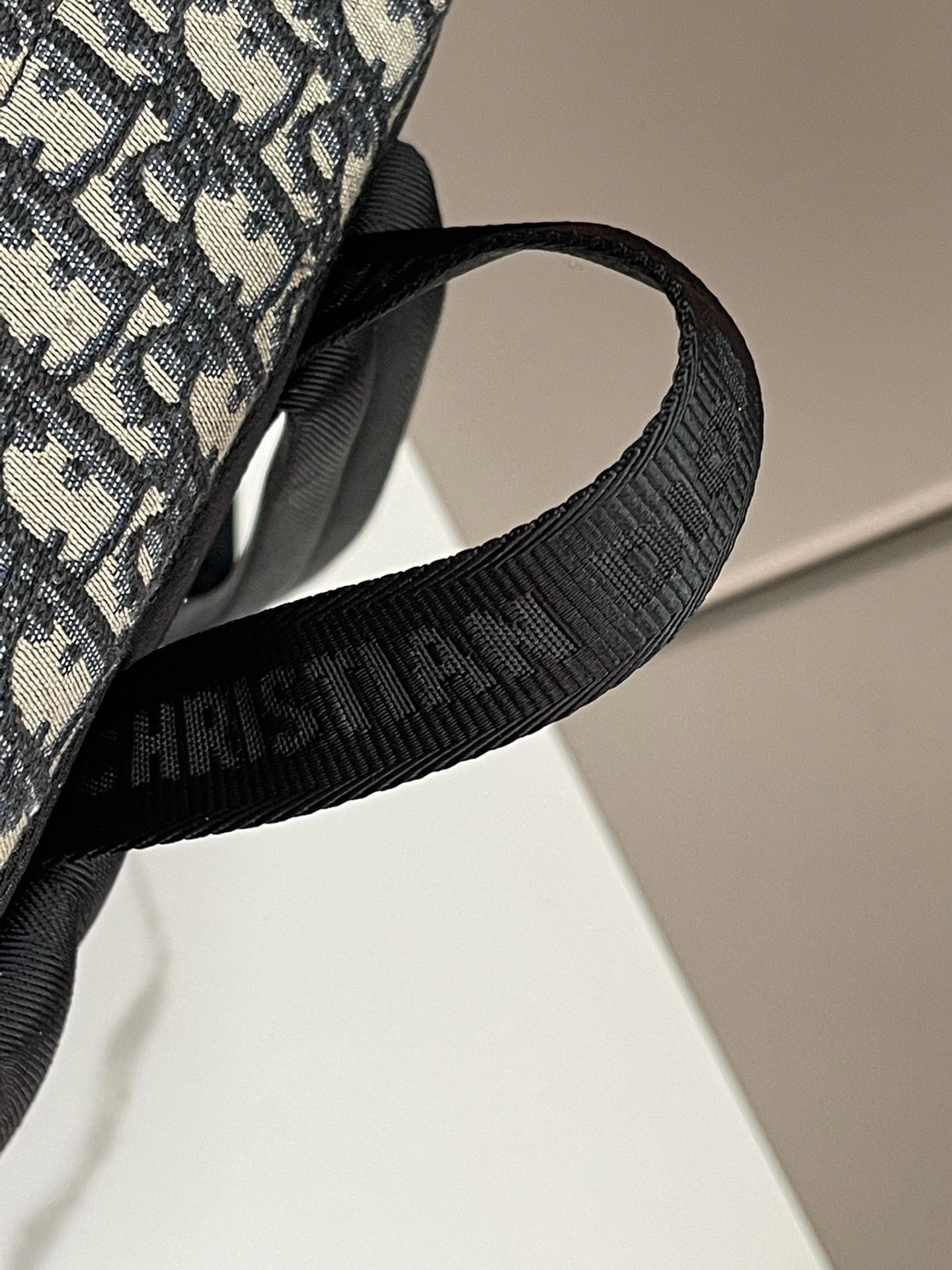 Inexpensive Mens Christian Dior Backpacks