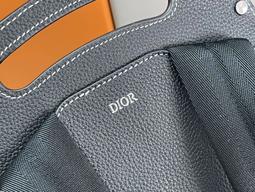 High accuracy Mens Christian Dior Backpacks