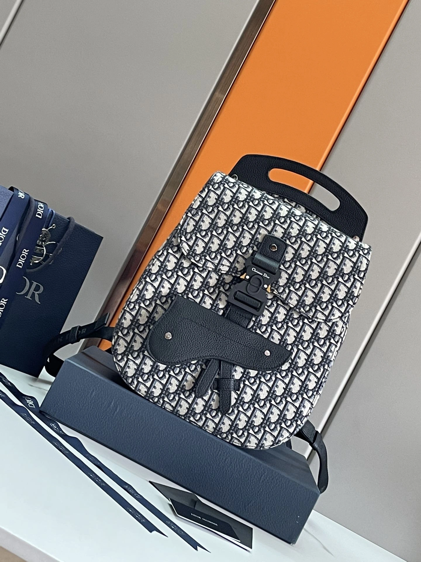 Mens Christian Dior Backpacks