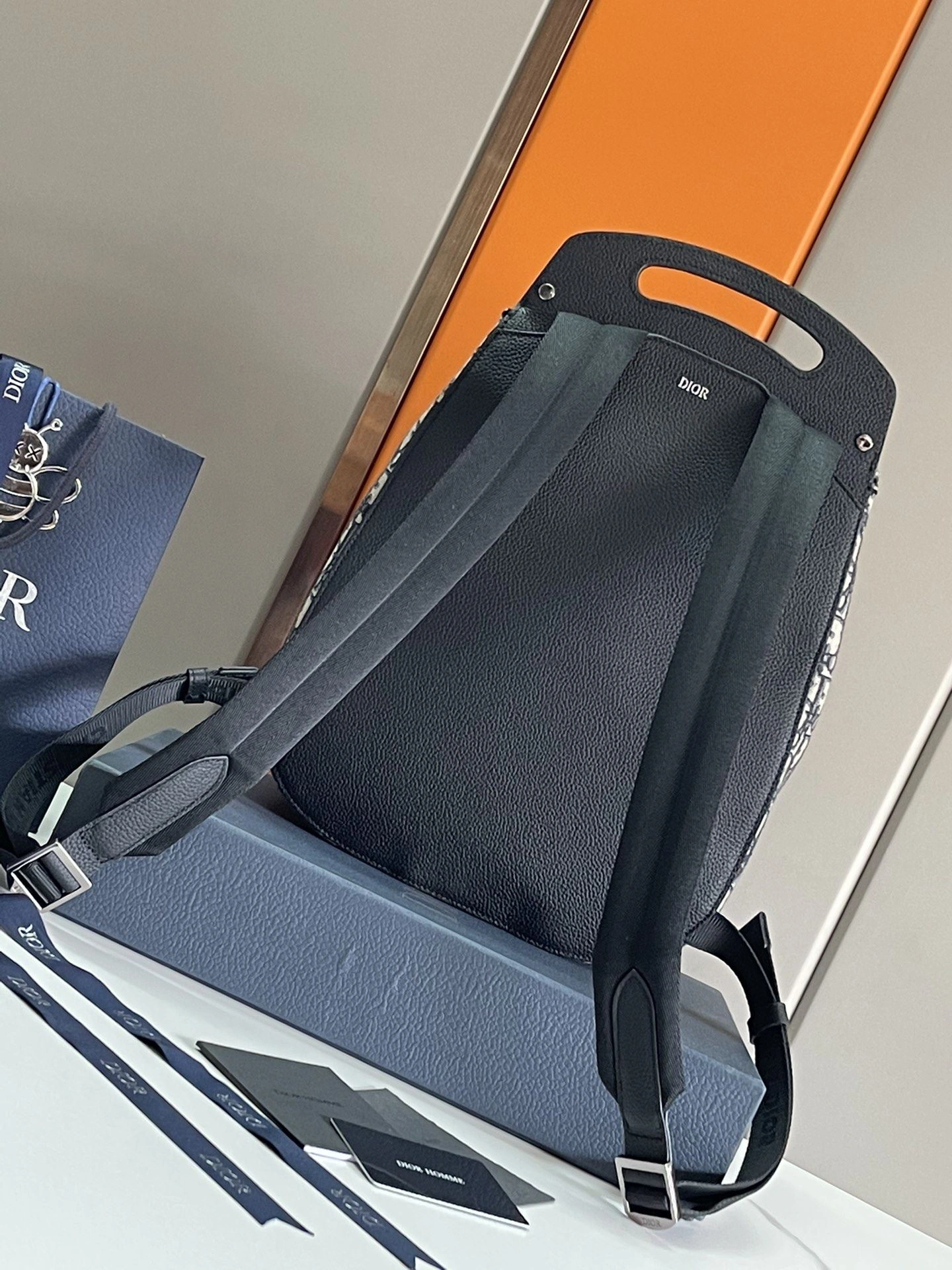 Accurate model Mens Christian Dior Backpacks