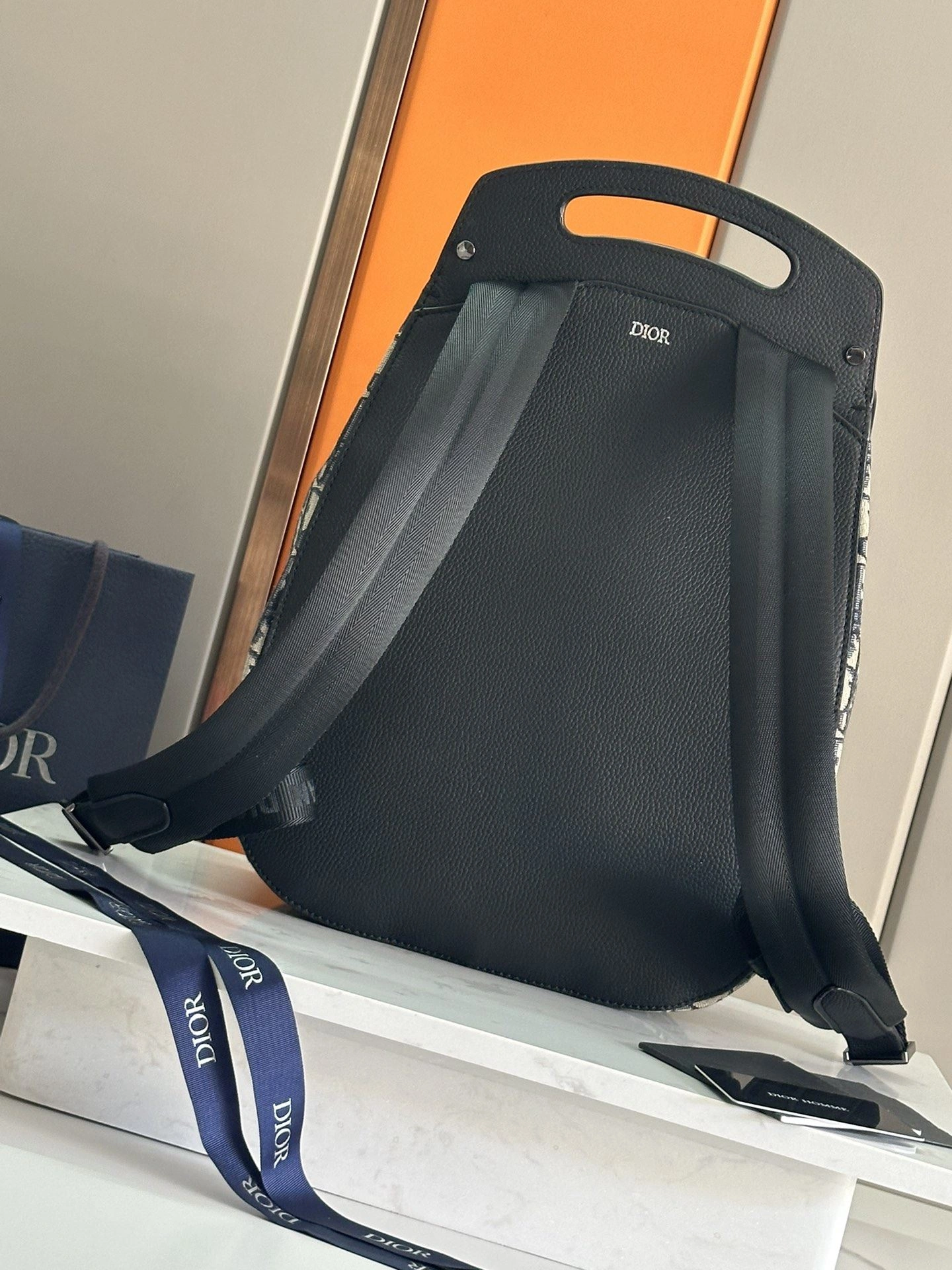Indistinguishable Mens Christian Dior Backpacks