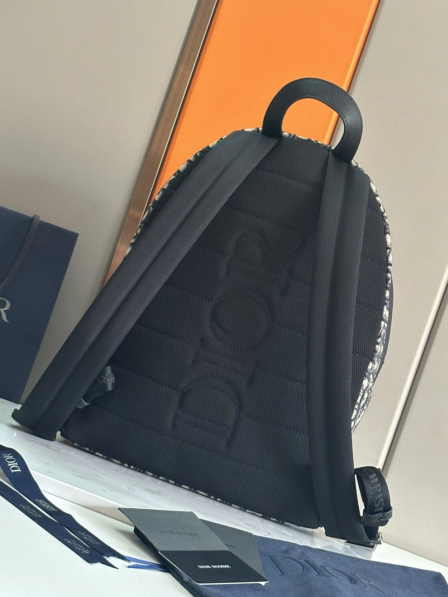 High accuracy Mens Christian Dior Backpacks
