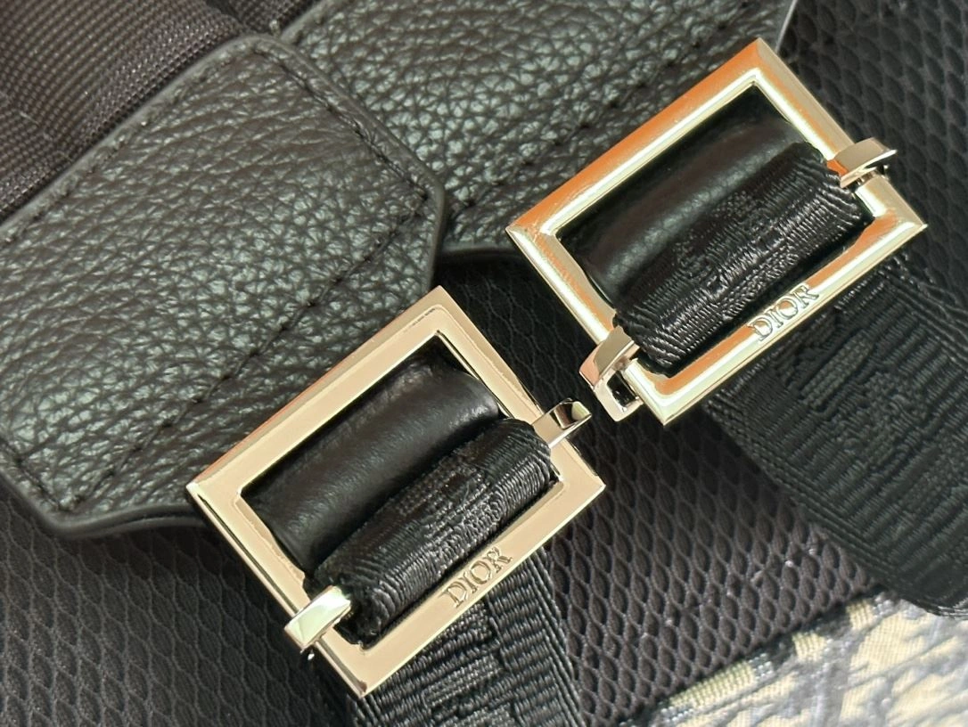 High accuracy Mens Christian Dior Backpacks