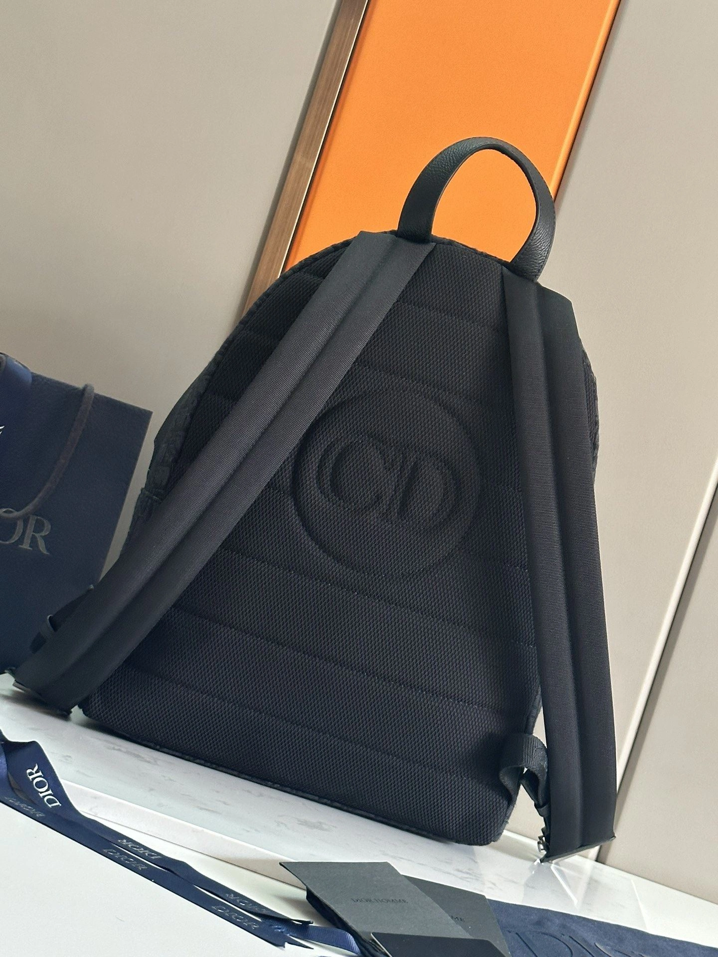 1:1 copy Mens Christian Dior Backpacks