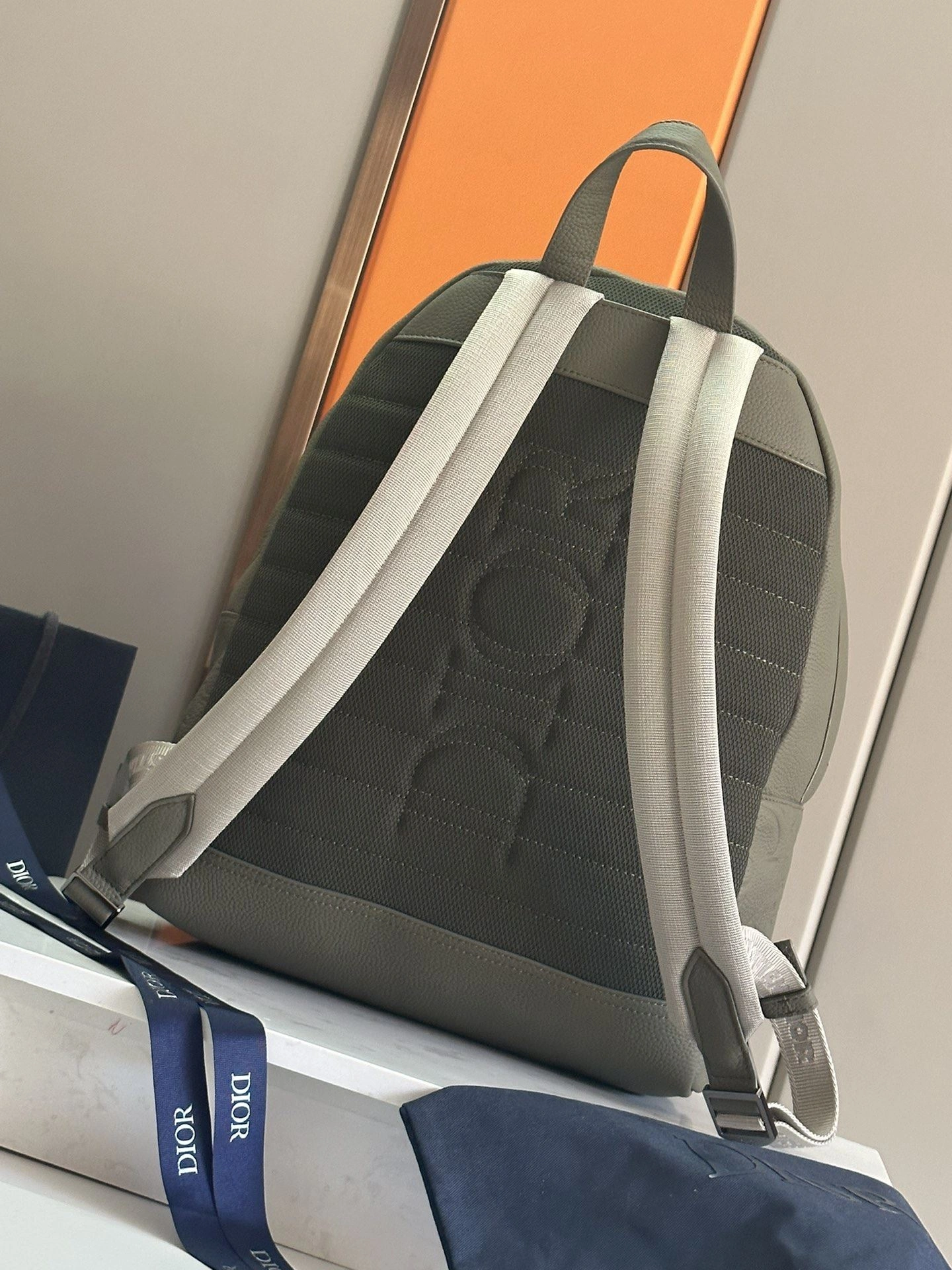 Cut-rate Mens Christian Dior Backpacks