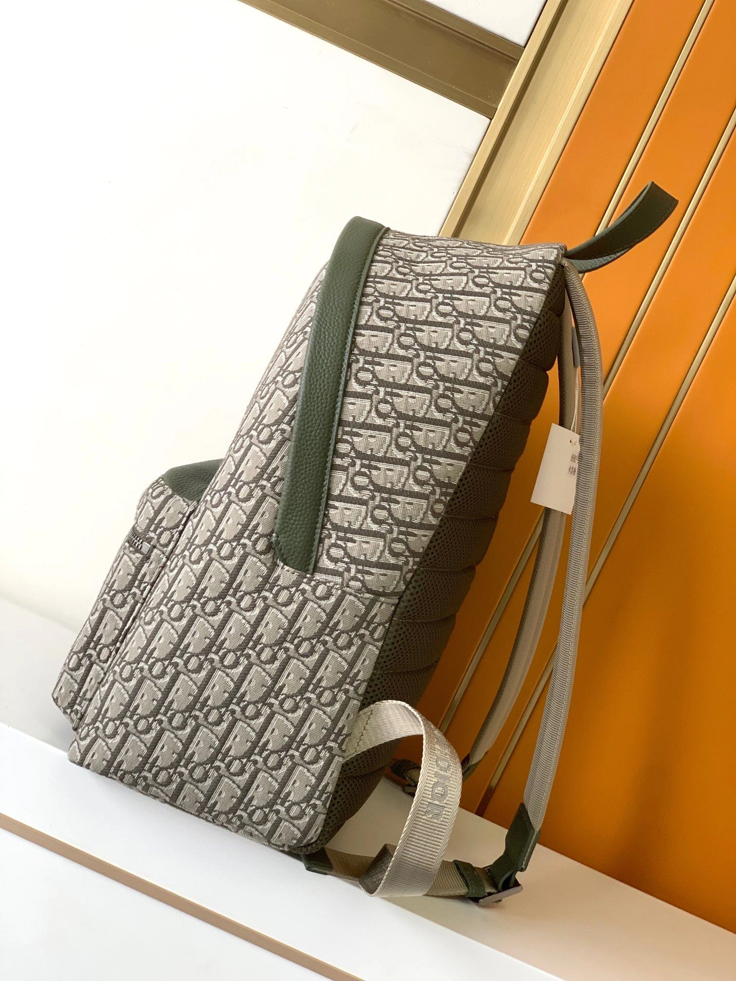 Indistinguishable Mens Christian Dior Backpacks