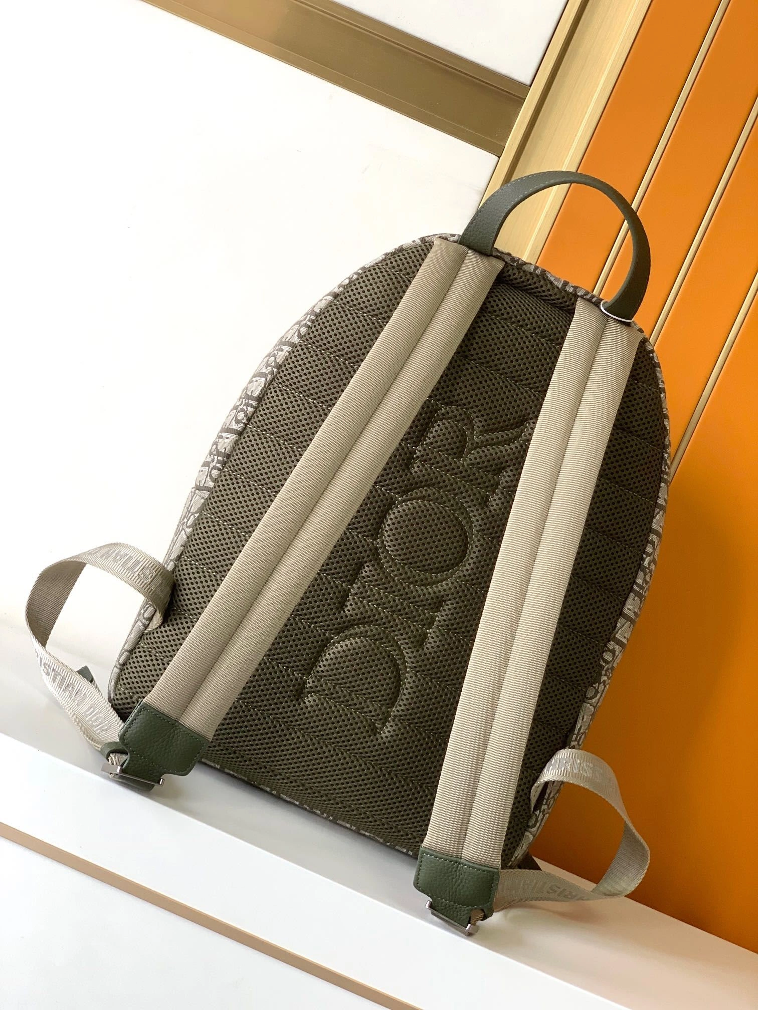 Indistinguishable Mens Christian Dior Backpacks