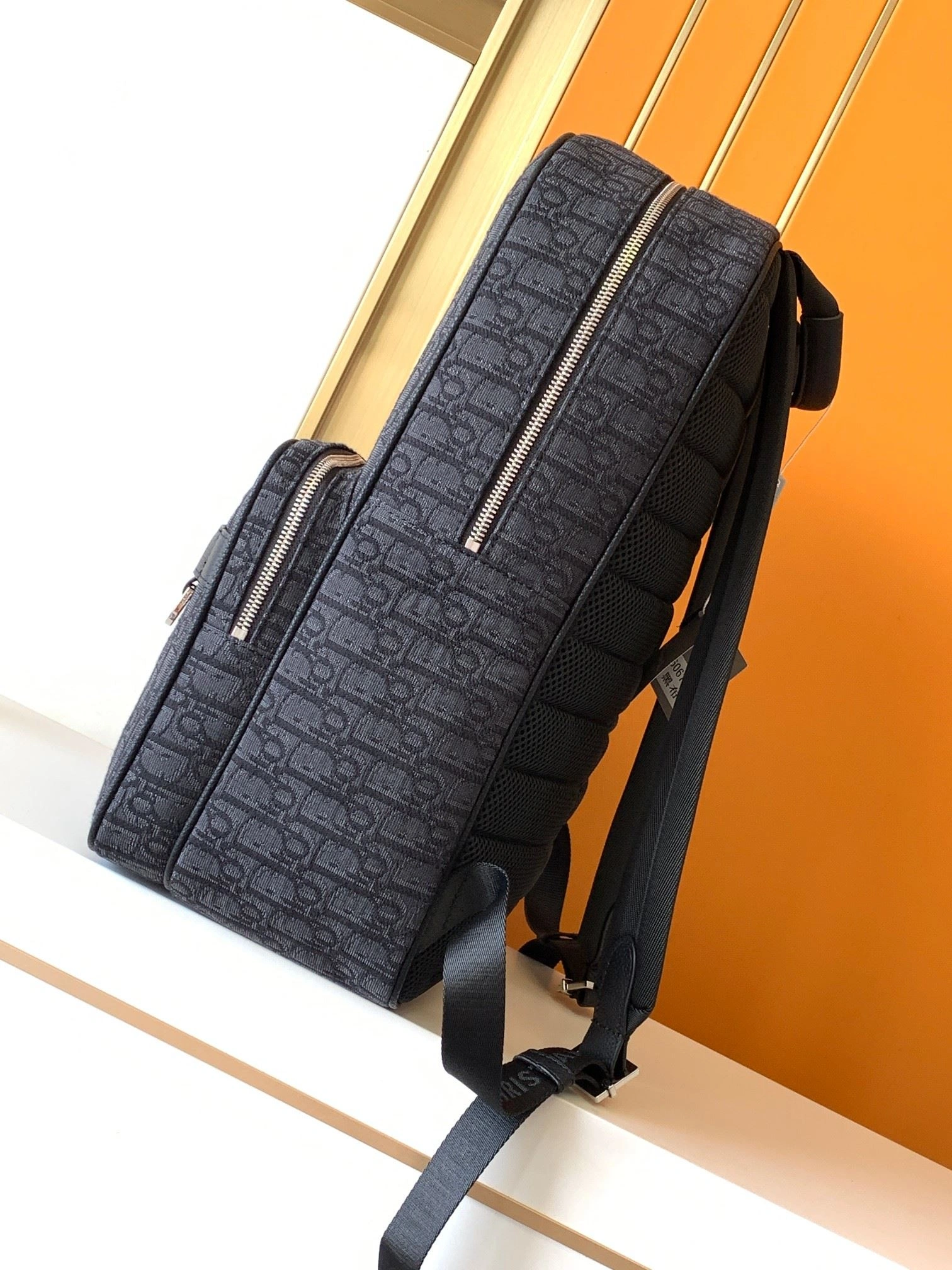Low-cost Mens Christian Dior Backpacks