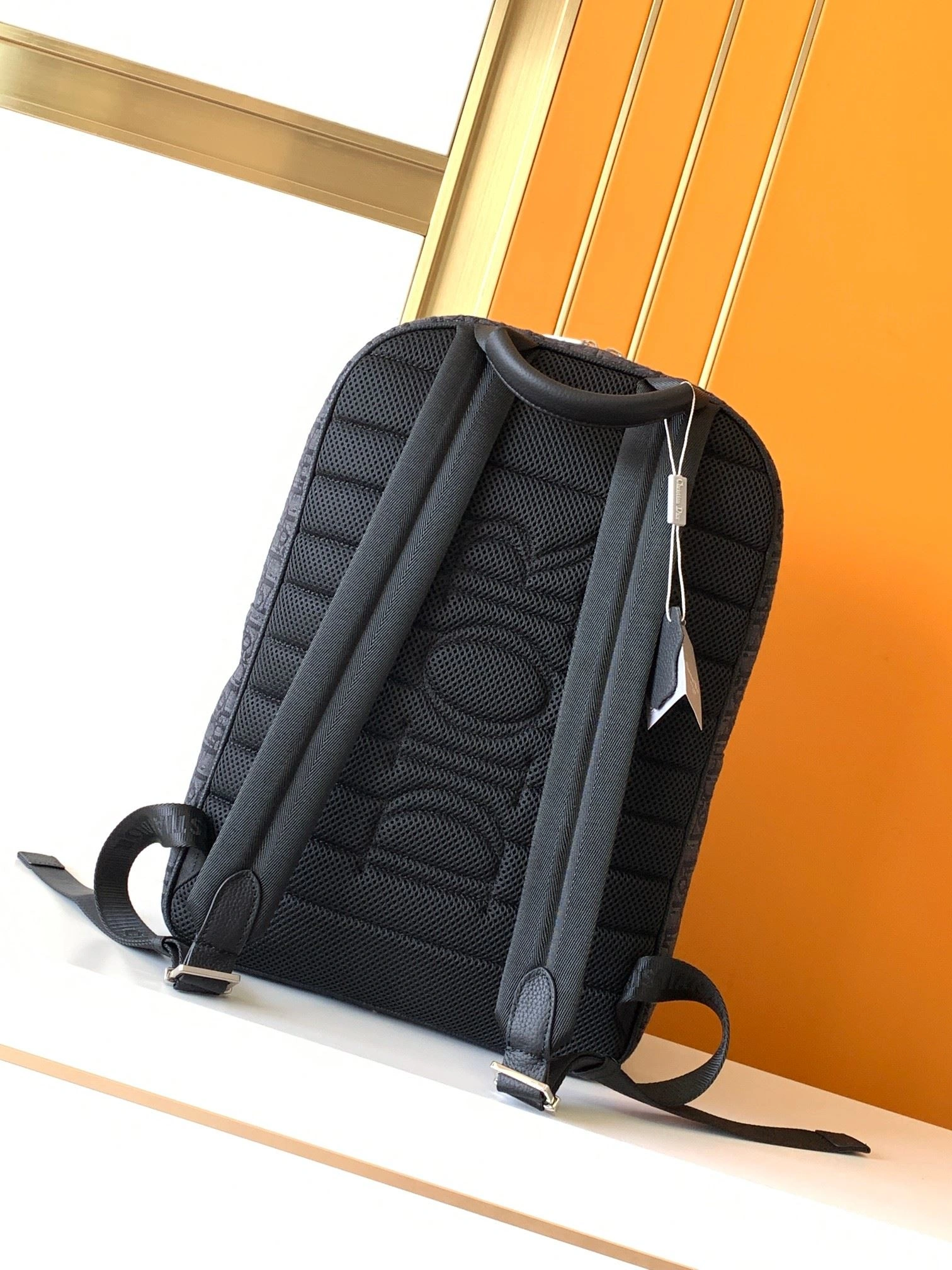 Low-cost Mens Christian Dior Backpacks