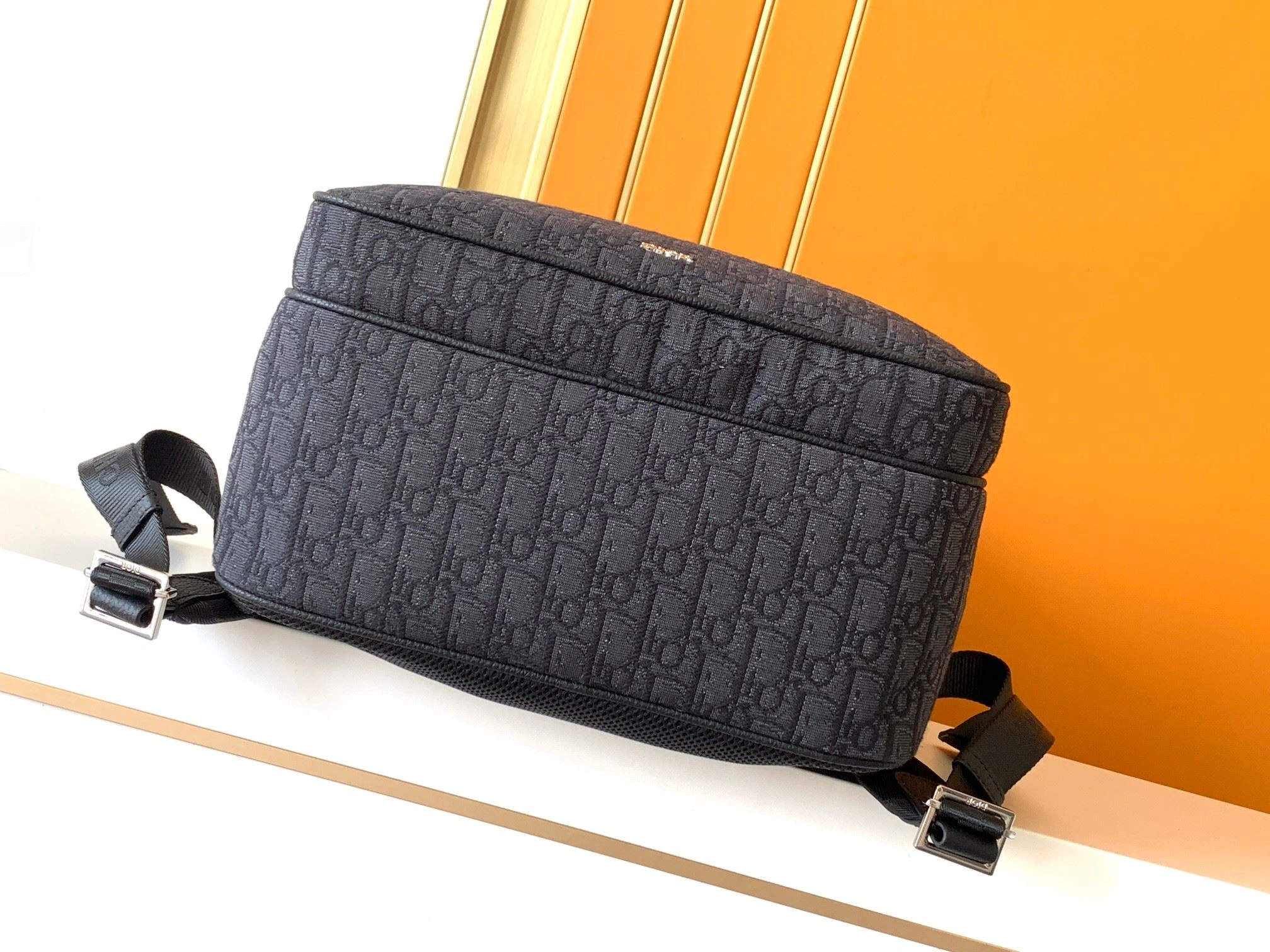 Low-cost Mens Christian Dior Backpacks