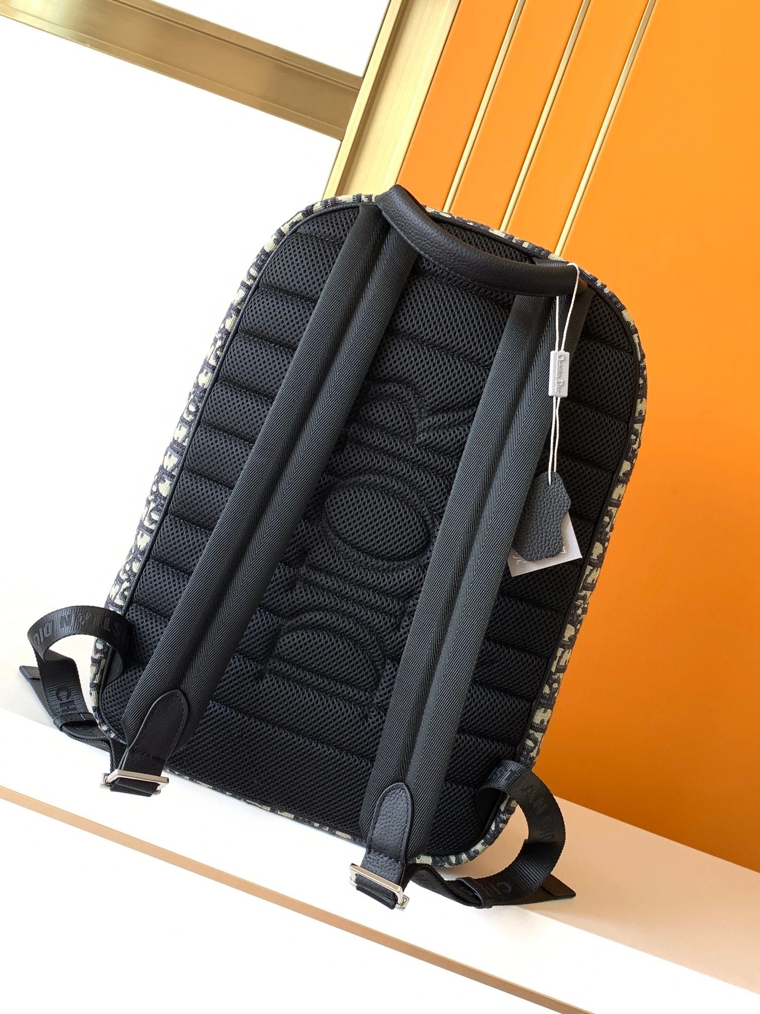 Top match Mens Christian Dior Backpacks