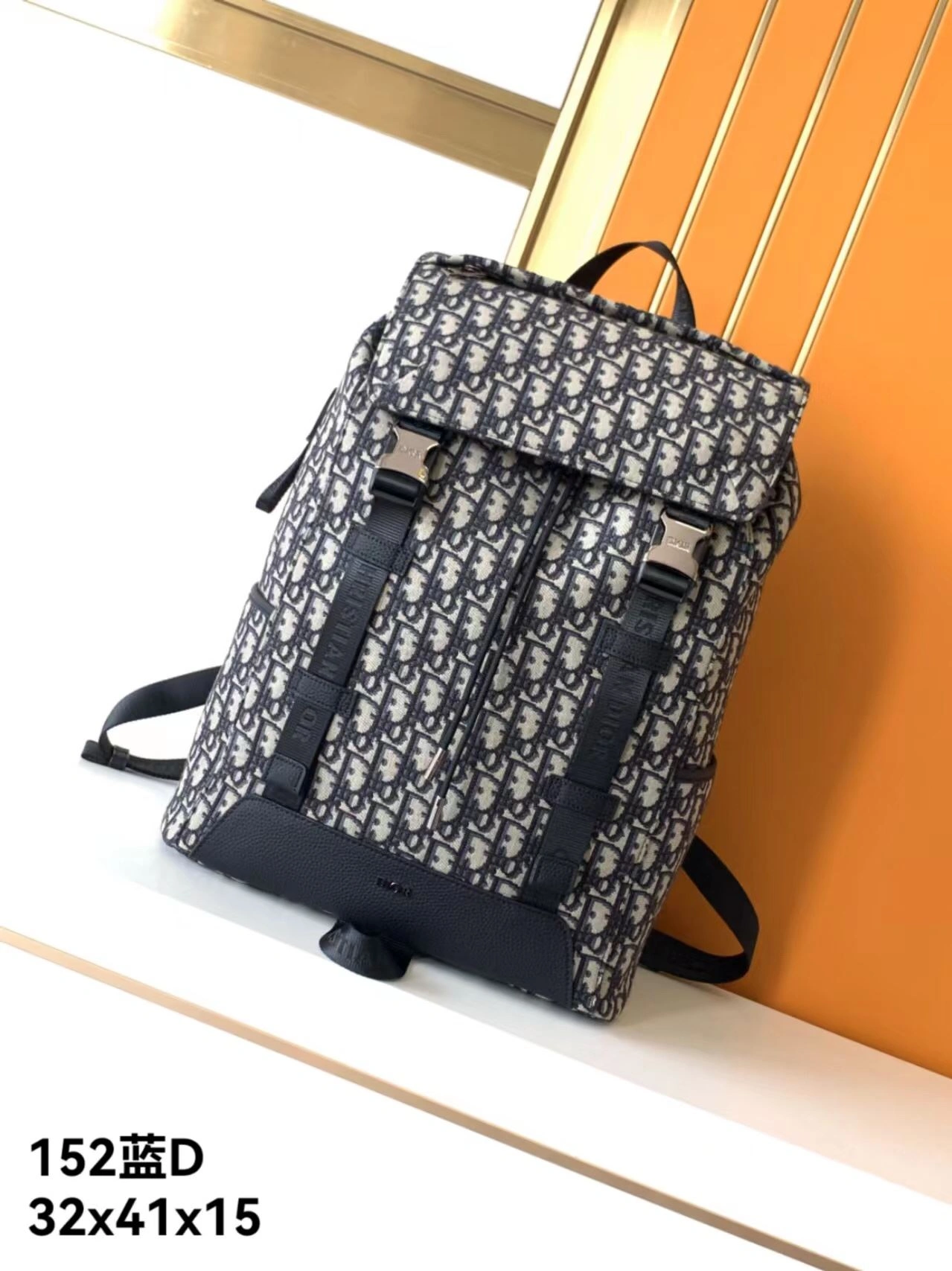 Mens Christian Dior Backpacks