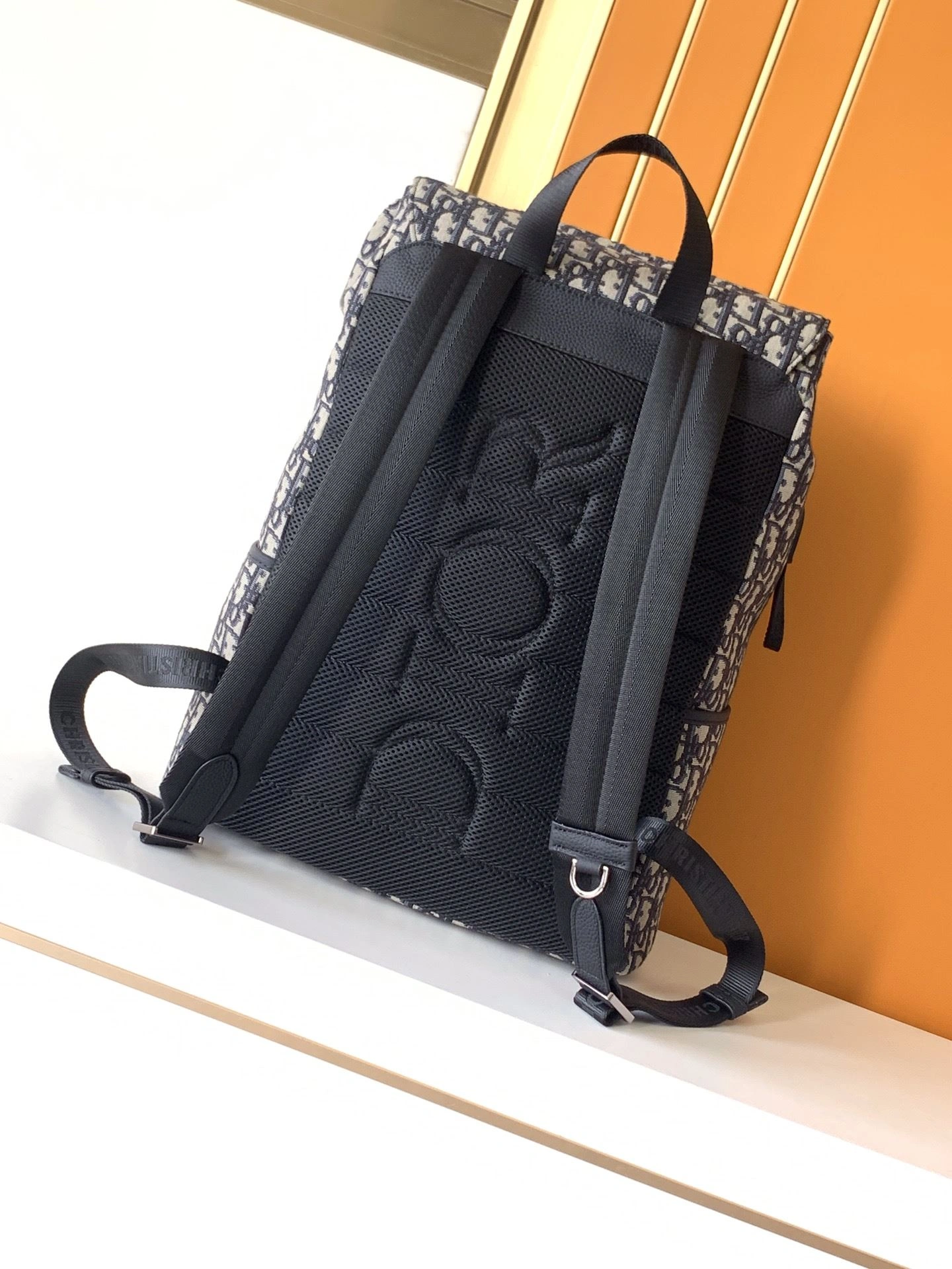 Accurate model Mens Christian Dior Backpacks