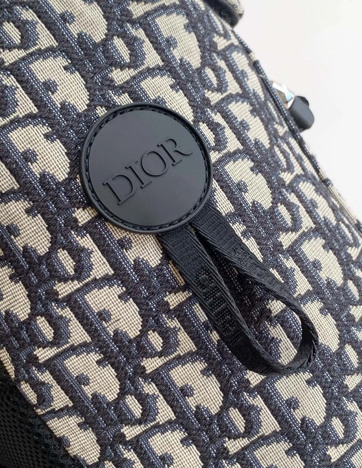 Accurate model Mens Christian Dior Backpacks