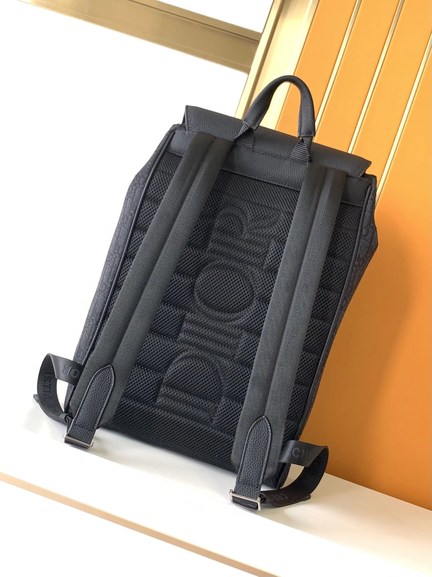 1:1 copy Mens Christian Dior Backpacks