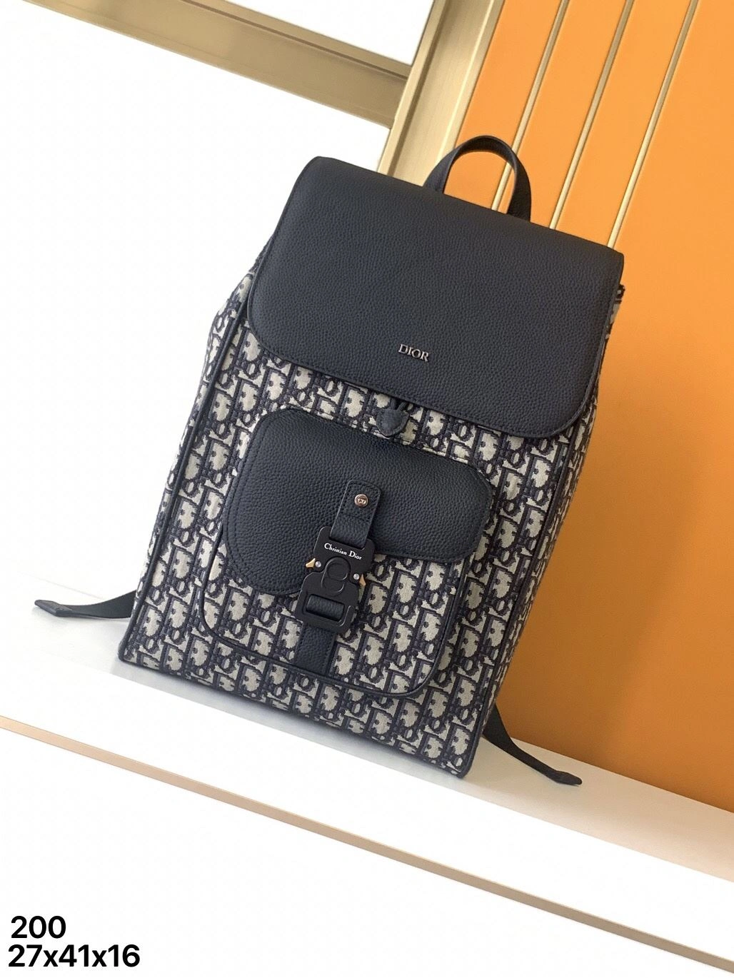 Mens Christian Dior Backpacks
