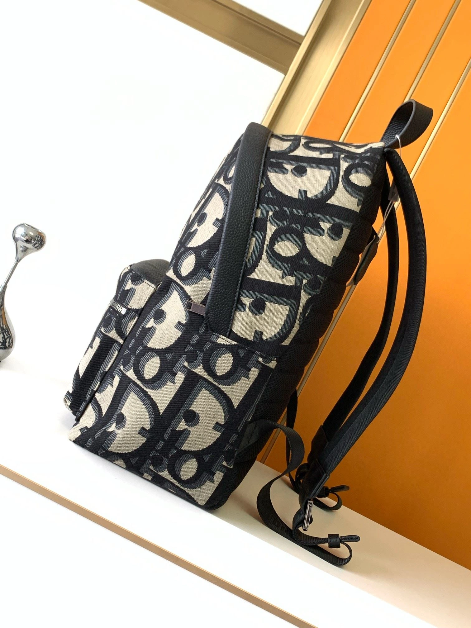High accuracy Mens Christian Dior Backpacks