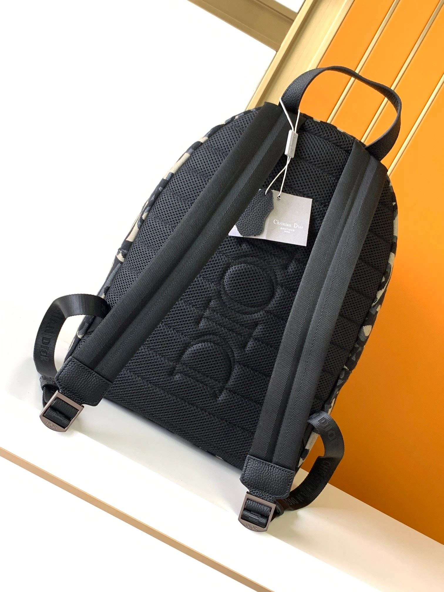 High accuracy Mens Christian Dior Backpacks