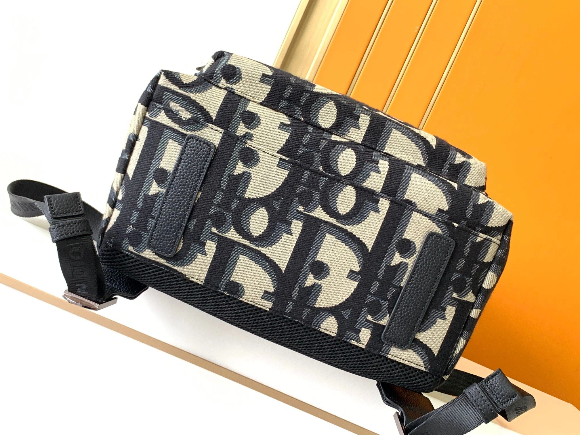 High accuracy Mens Christian Dior Backpacks