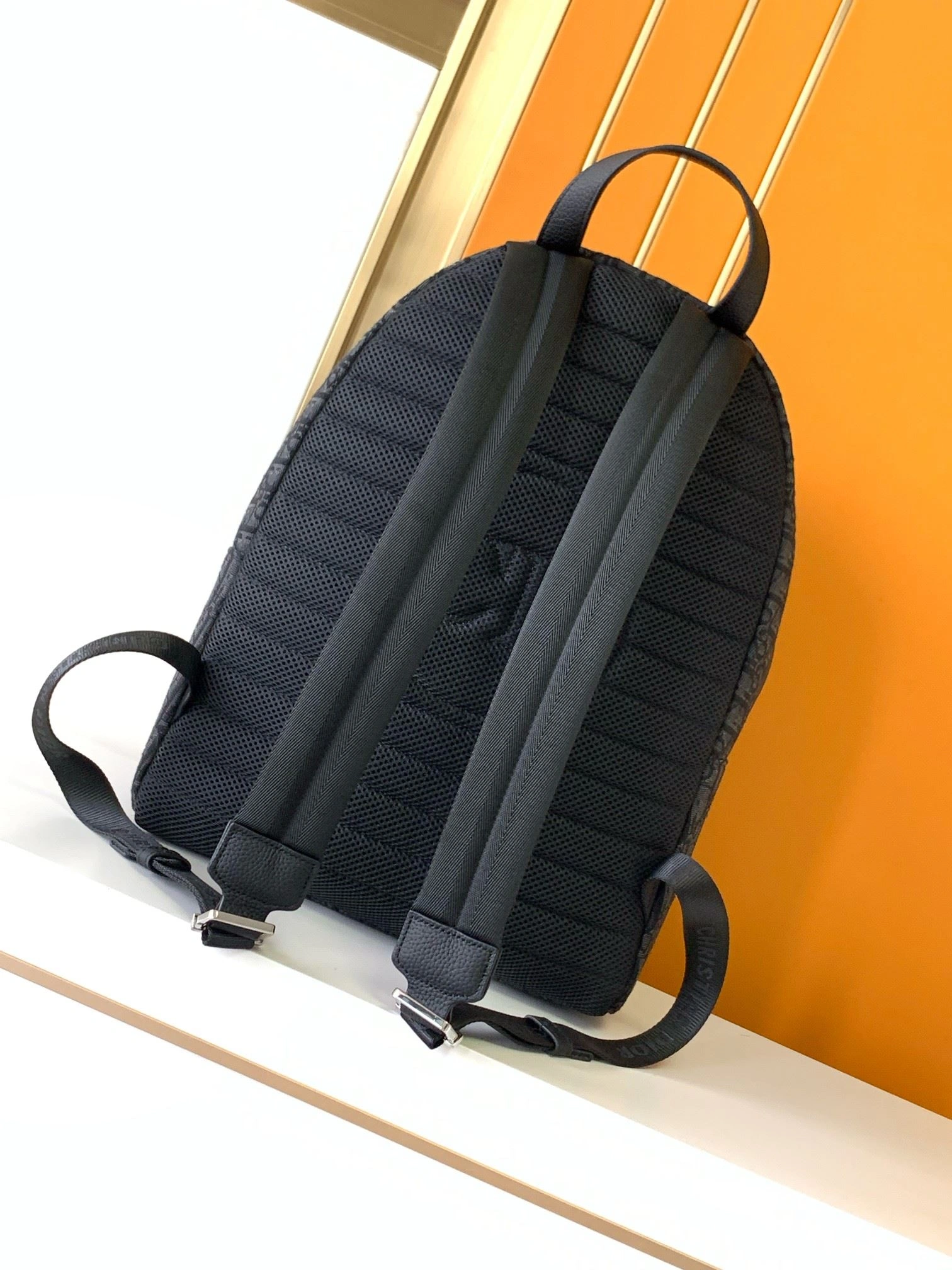 High accuracy Mens Christian Dior Backpacks
