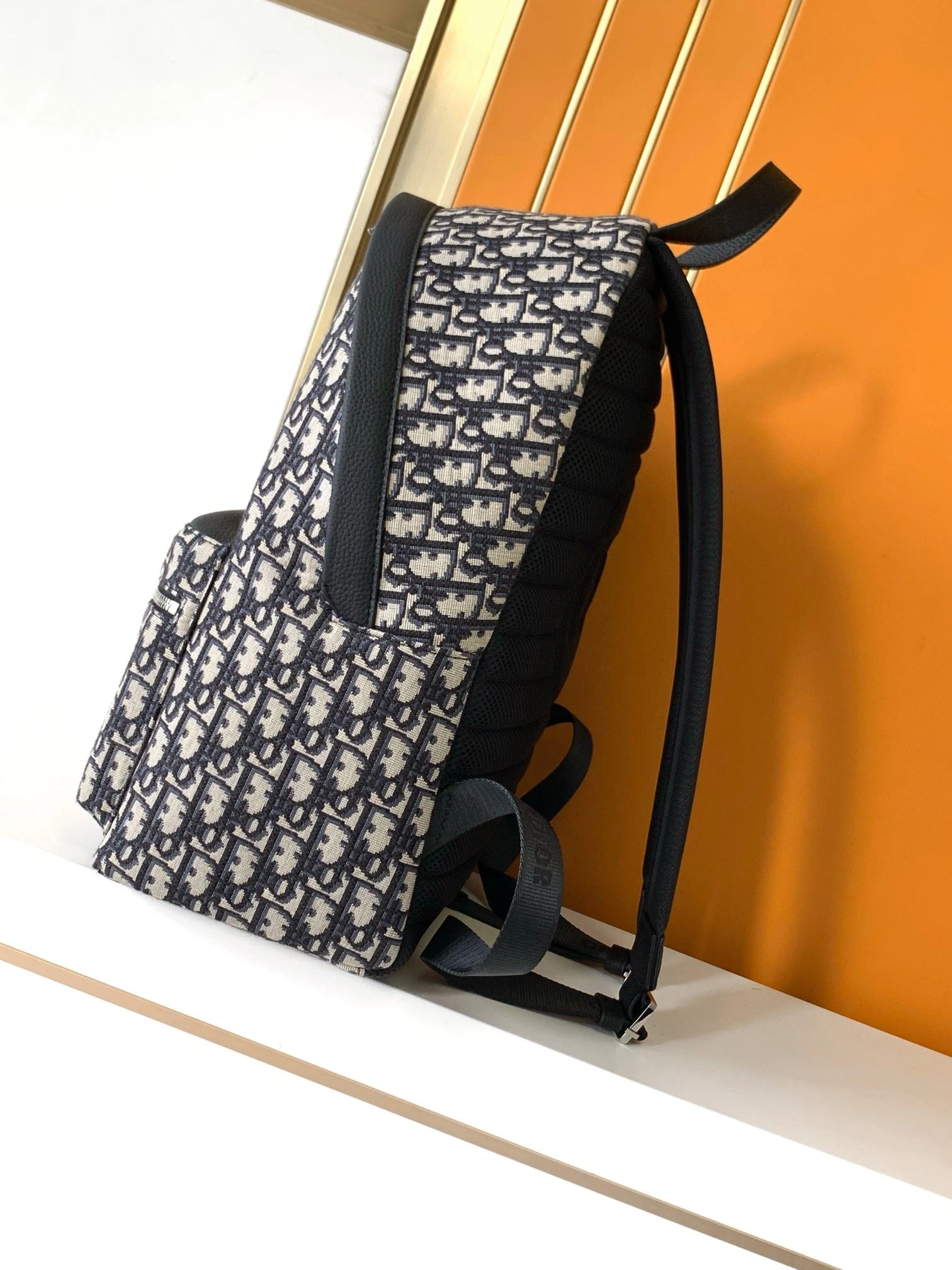OEM Mens Christian Dior Backpacks