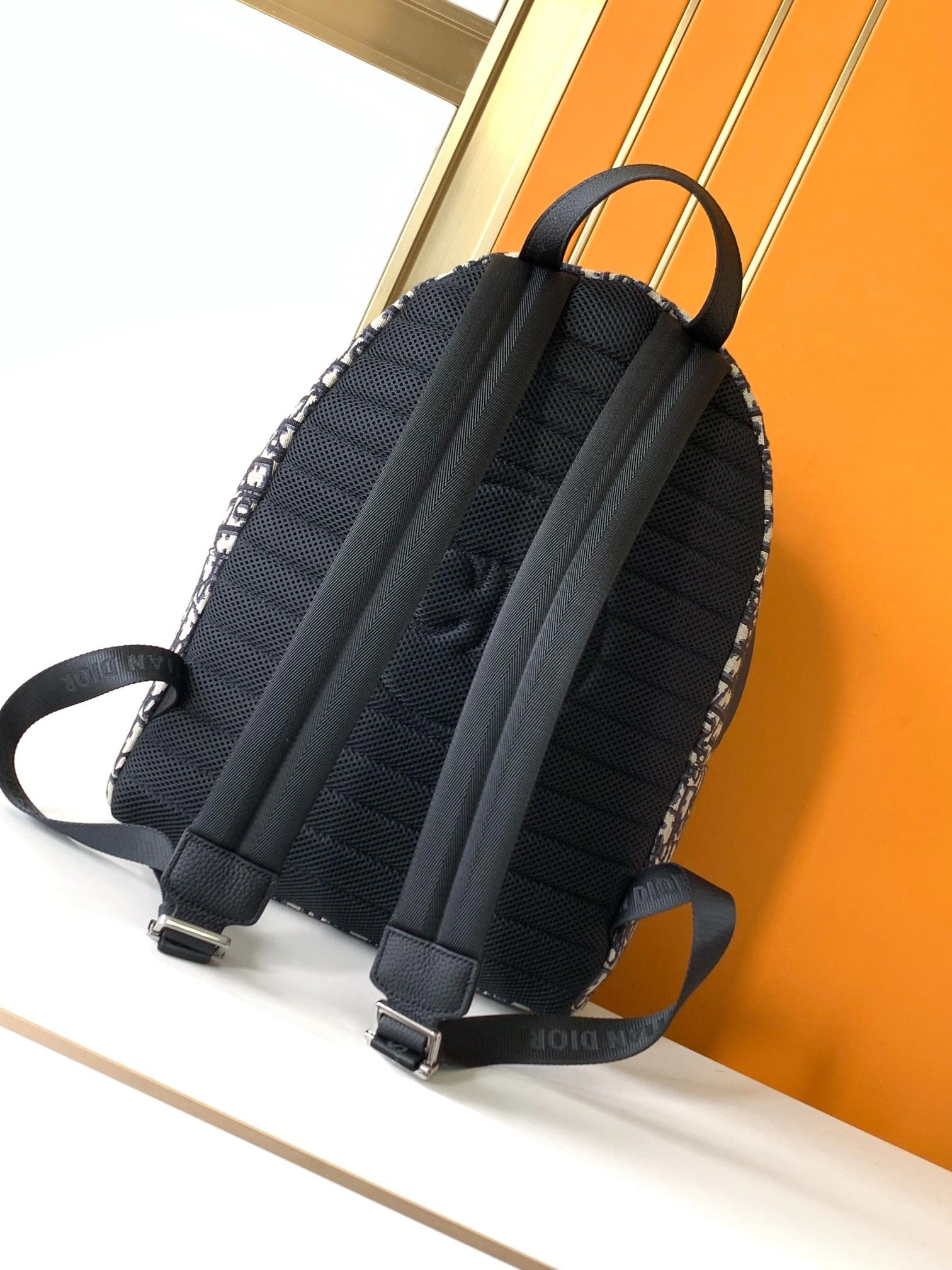 OEM Mens Christian Dior Backpacks