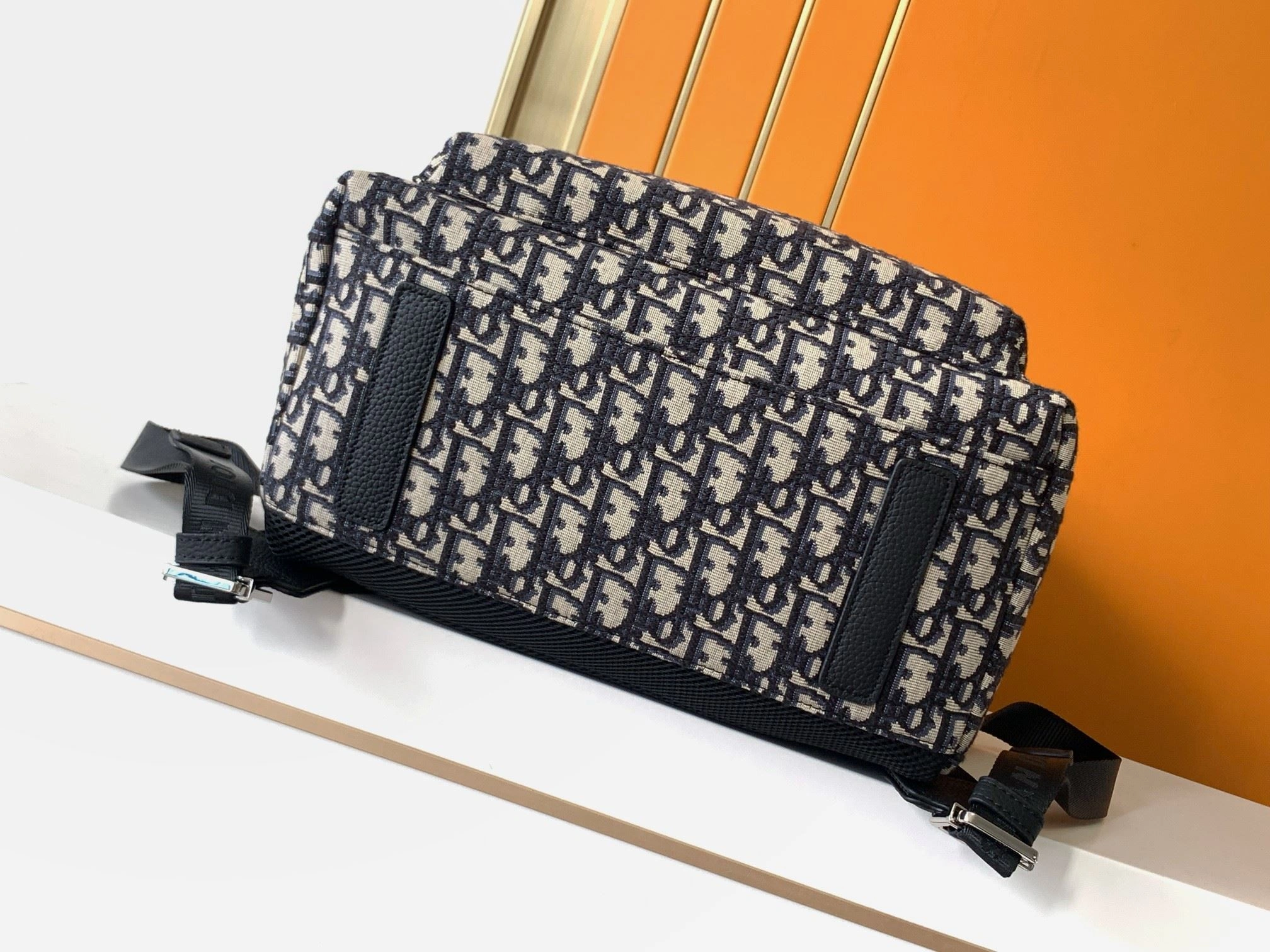 OEM Mens Christian Dior Backpacks
