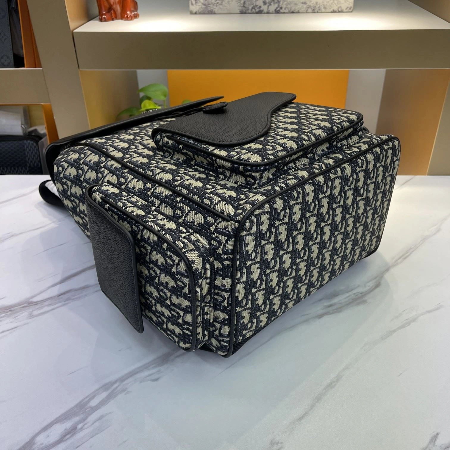 1:1 copy Mens Christian Dior Backpacks