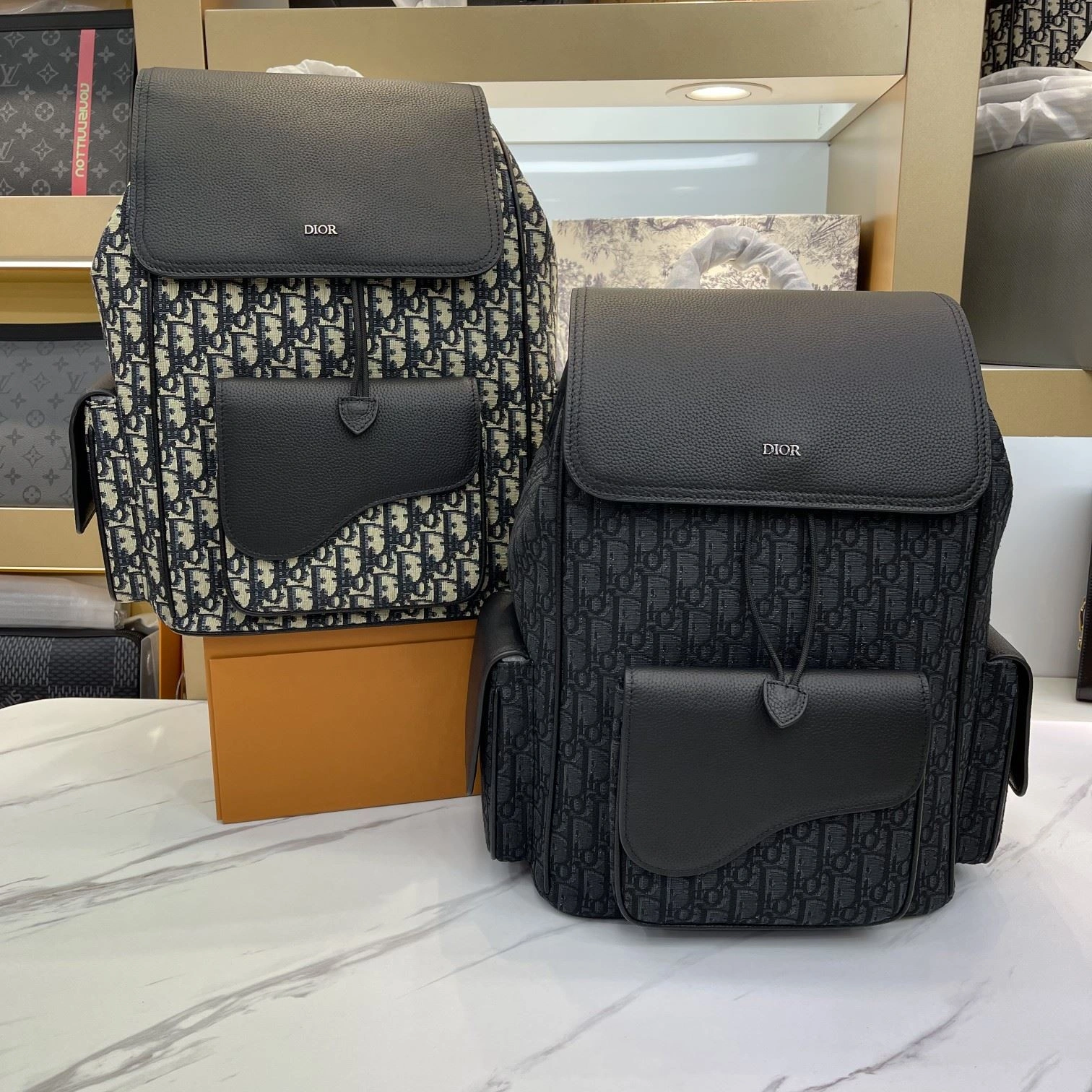1:1 copy Mens Christian Dior Backpacks