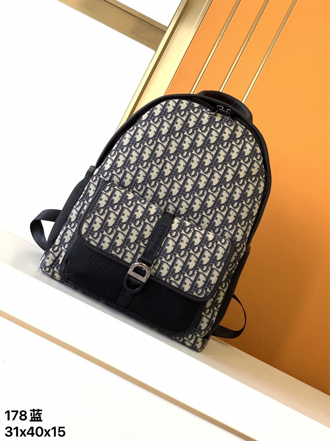 Mens Christian Dior Backpacks