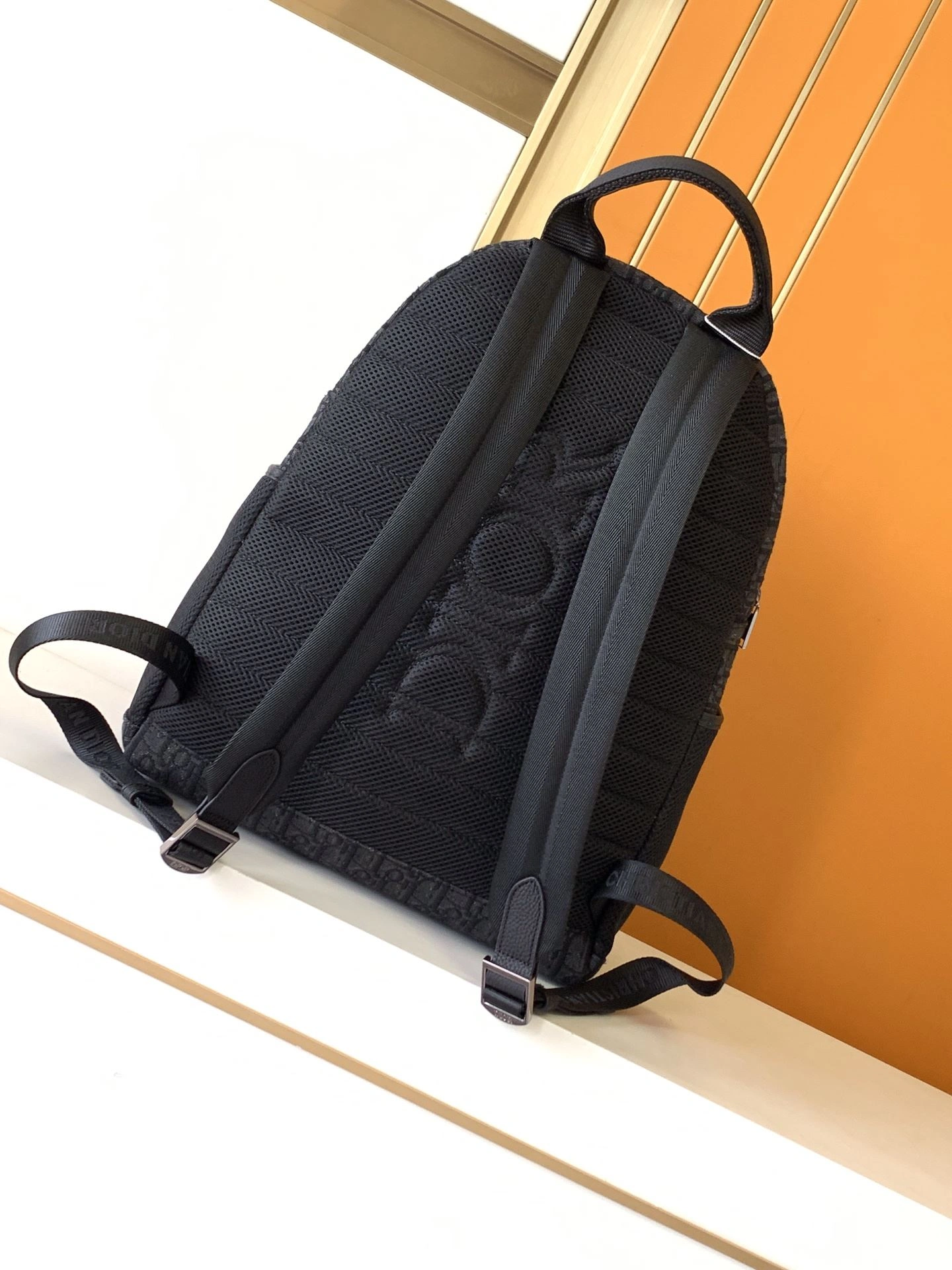 Real Mens Christian Dior Backpacks