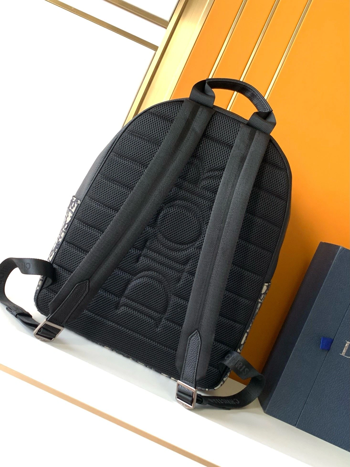 Inexpensive Mens Christian Dior Backpacks